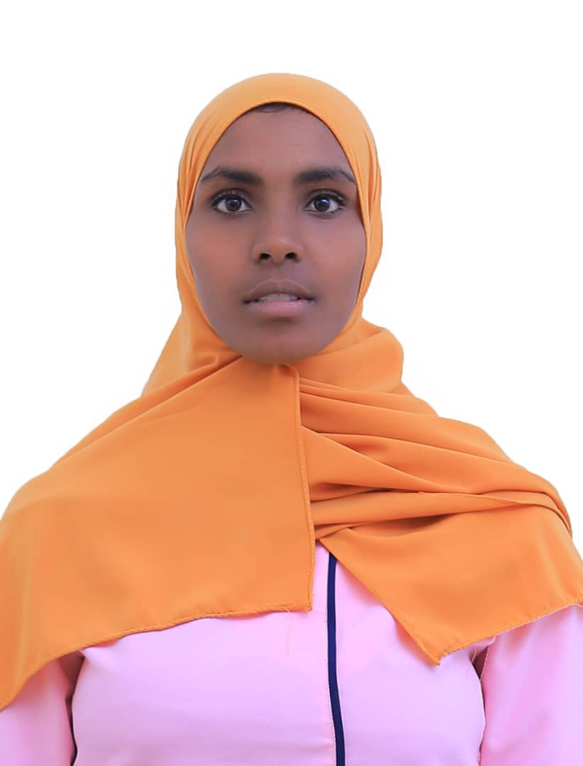 TOYBA MOHAMMED ENDRIS's CV